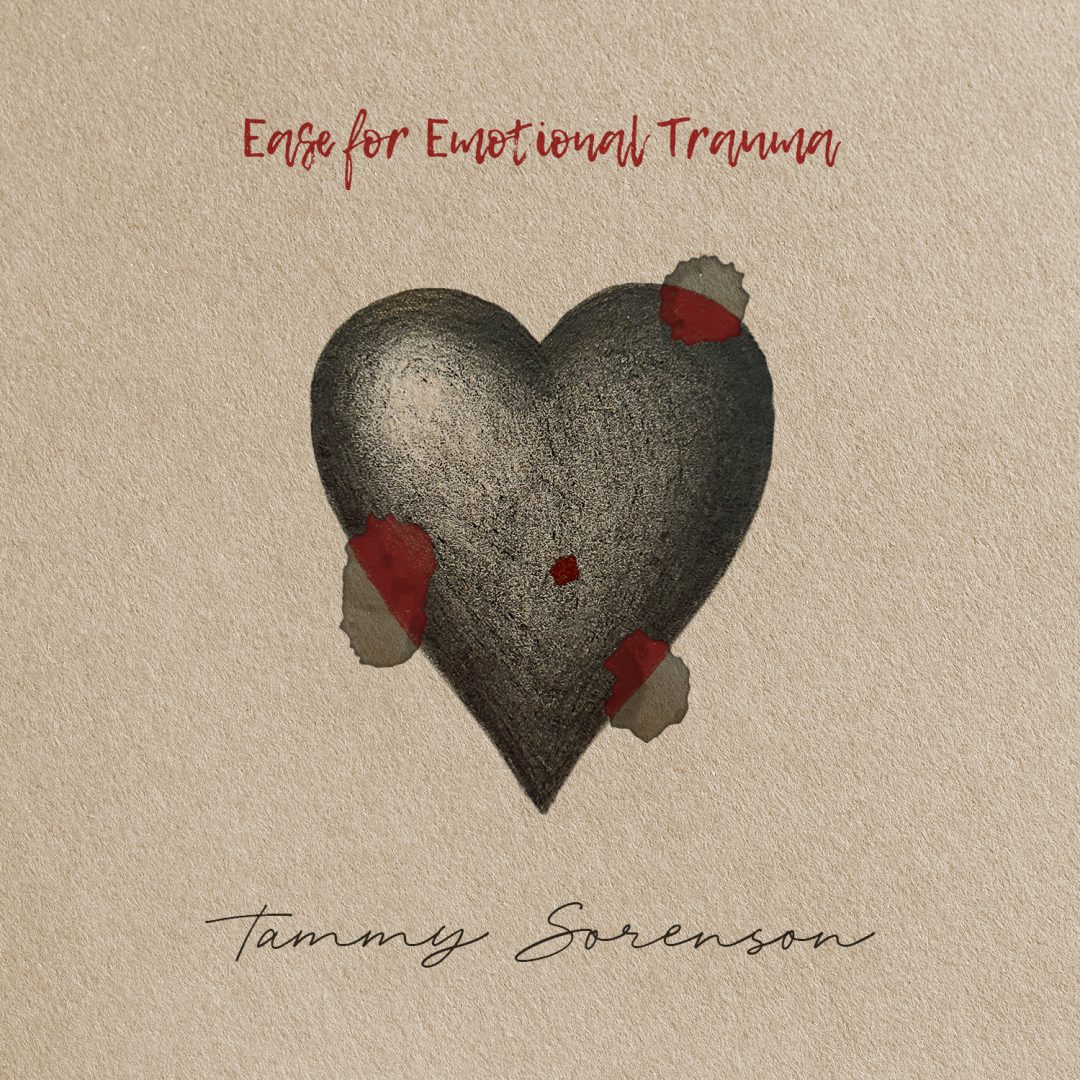 Emotional Trauma Album Release - Sound Expressions